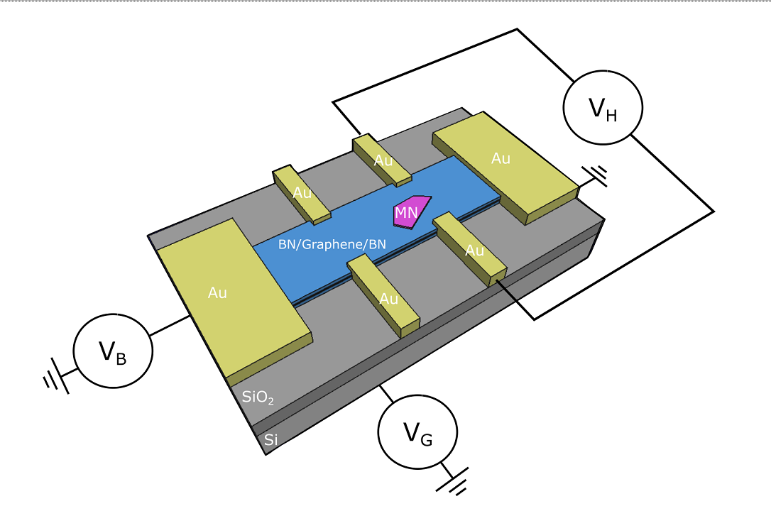 MAGHALLOR - High Performance Magnetometry Based on Ultraclean Graphene ...